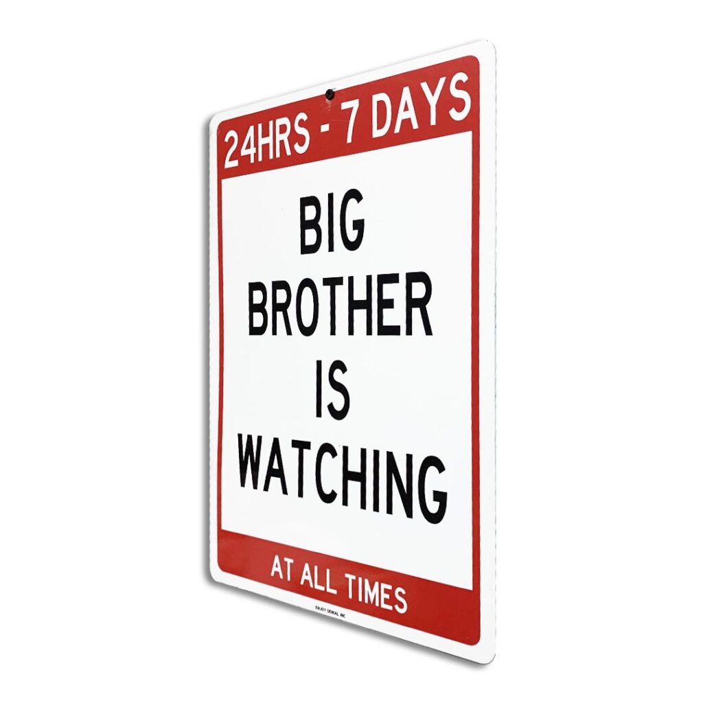 Big Brother is Watching - Metal Street Sign - Enjoy Denial